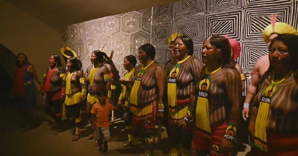 Brésil : l'histoire des Kayapos exposée au Musée de Rio de Janeiro ...