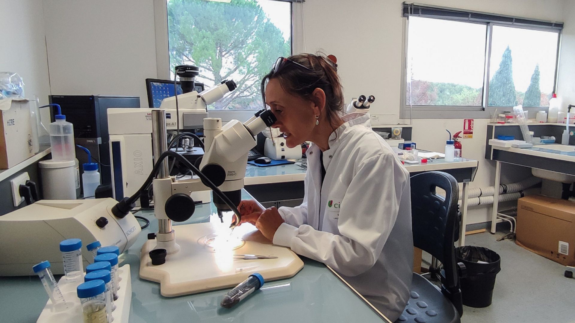 'Ebola-like' bleeding virus found for the first time in ticks in France ...