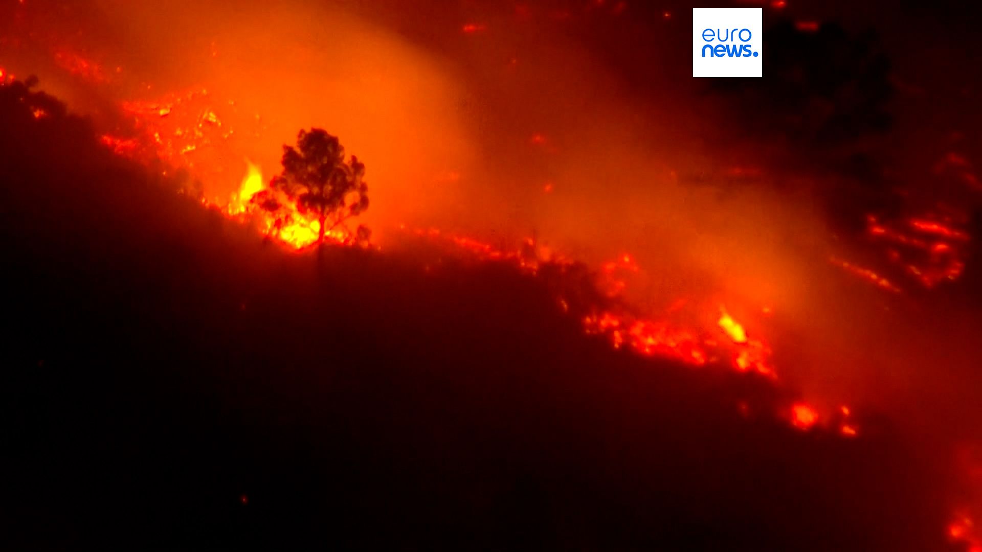 Hundreds evacuated as wildfire rages through Valencia | Euronews