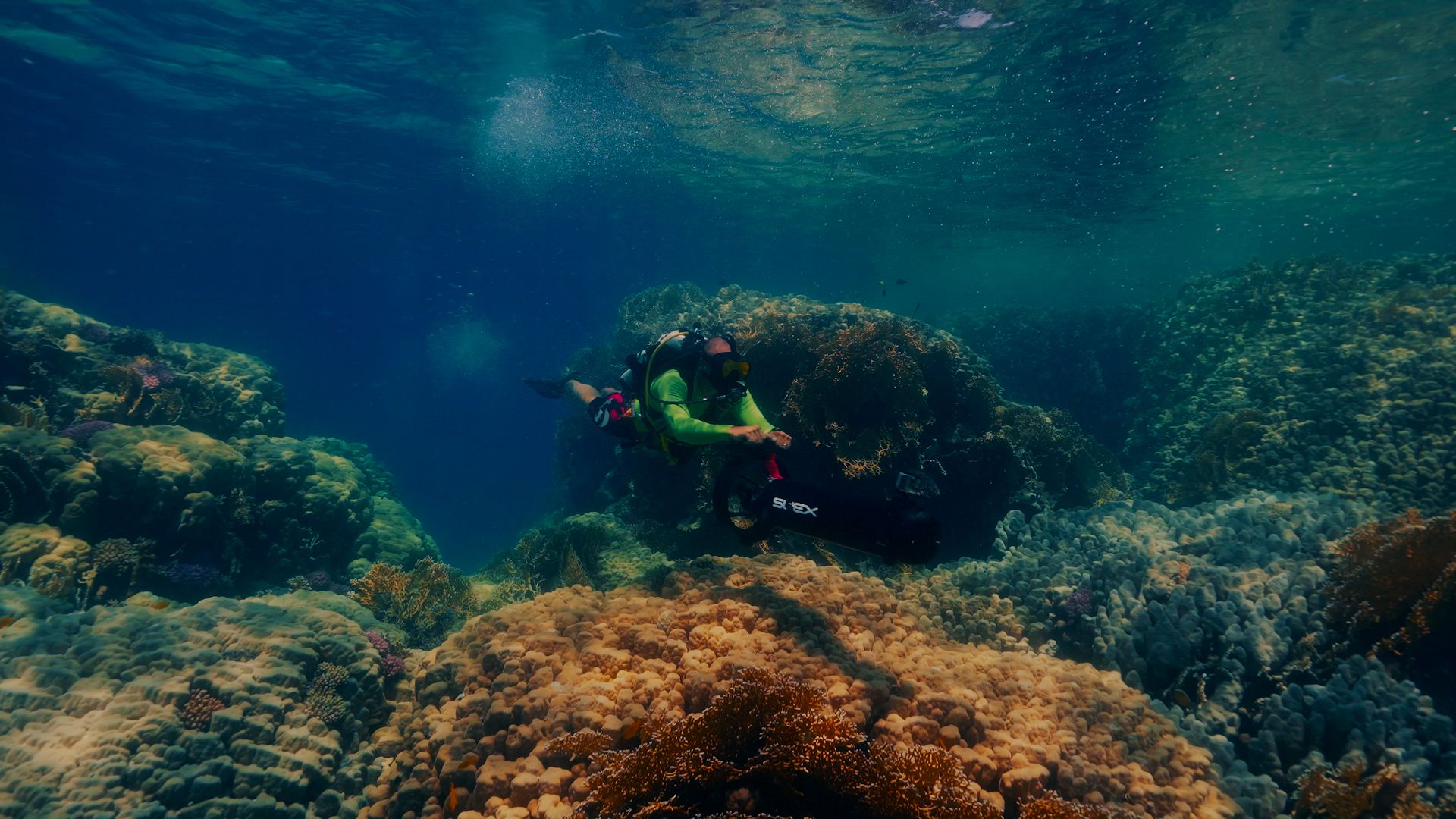 Untouched waters: The Saudi Arabian destination promising scuba fans ...