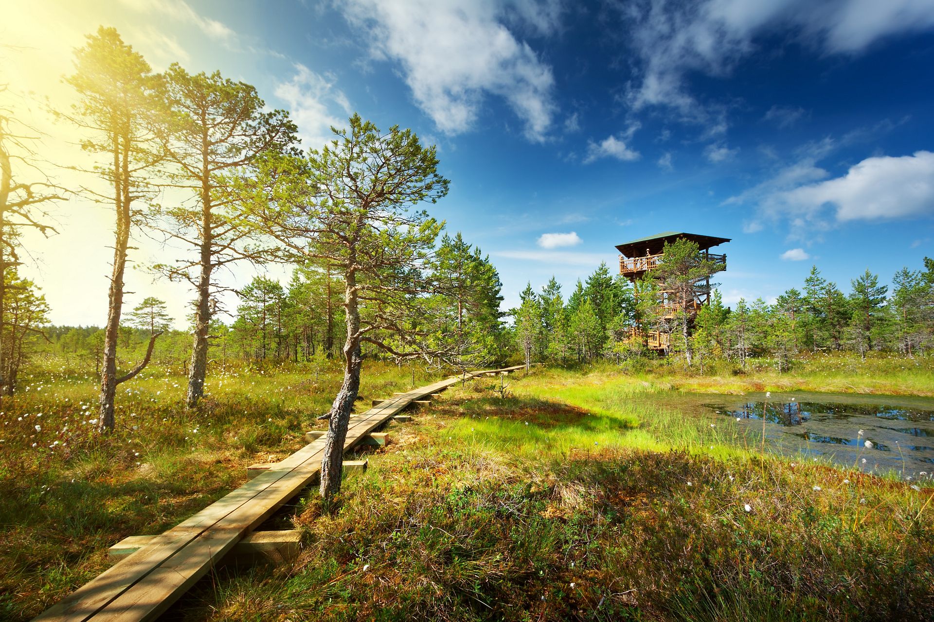 Rising temperatures and more extreme weather events: How is Europe’s ...
