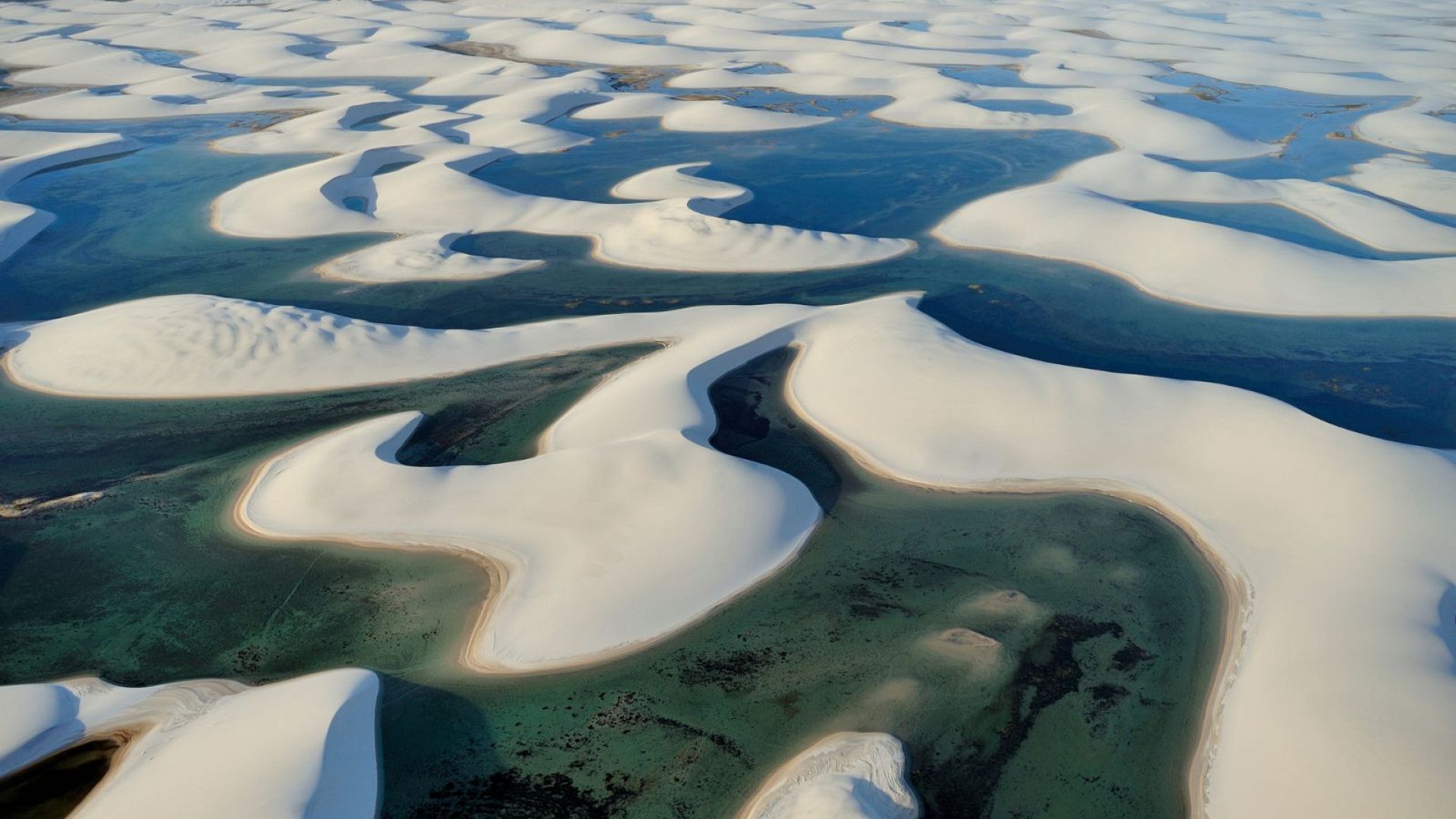 White dunes, blue lagoons and rare wildlife: A guide to the best of ...