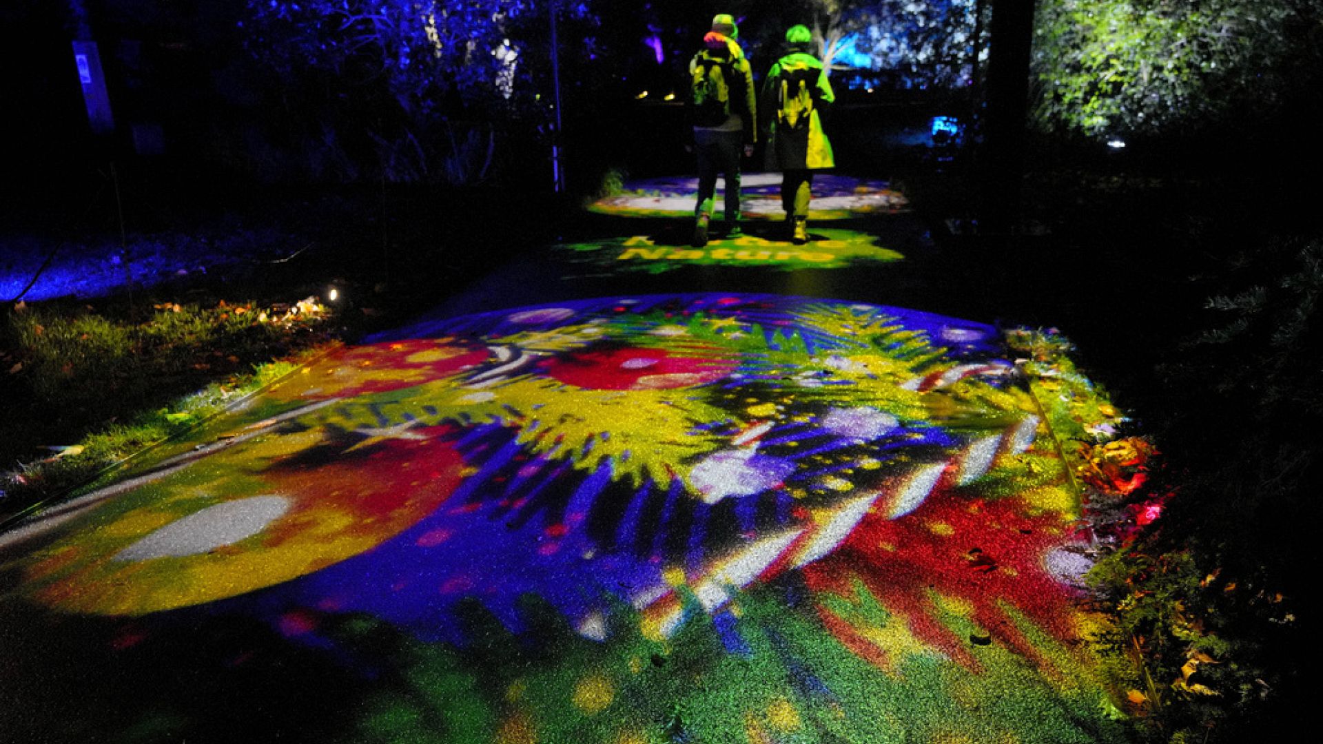 Video. WATCH: Spectacular festive light show twinkles at London's Kew ...