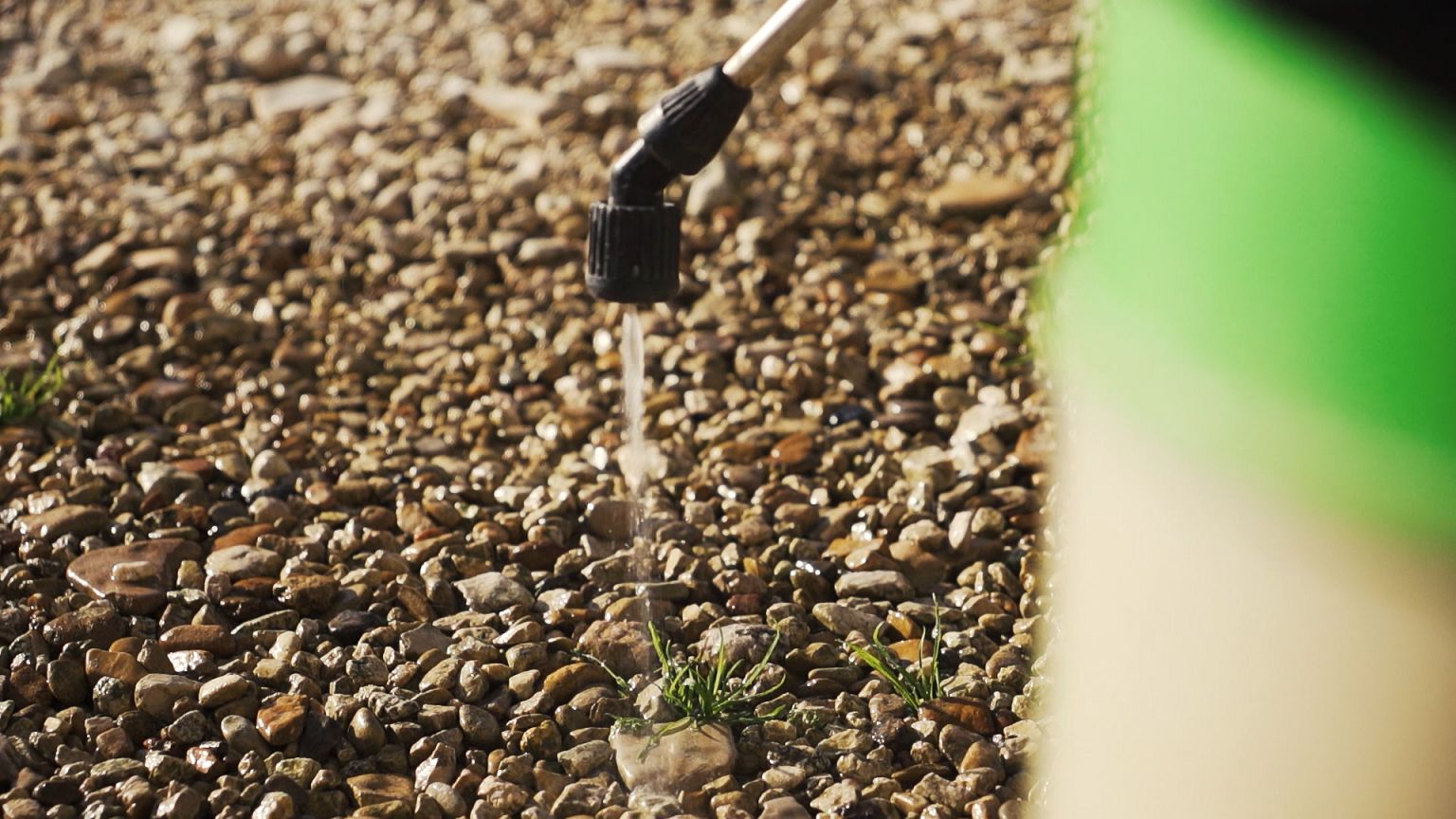 Glyphosate: The much-criticised herbicide that's still used in Europe ...