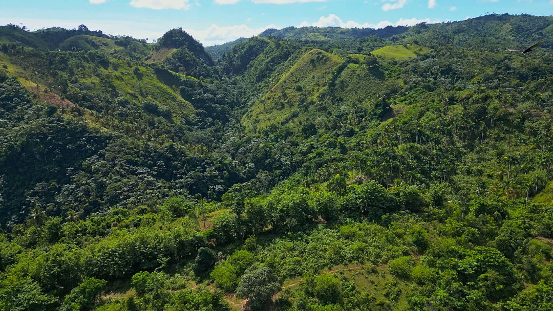 Want the greenest and wildest landscapes in the Dominican Republic? Pay ...