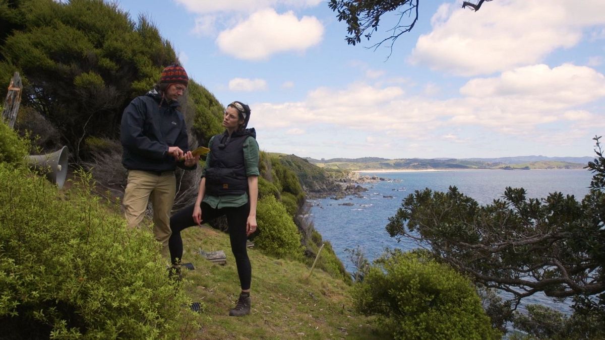 Meet the ecologist spreading her wings in New Zealand to save seabirds ...