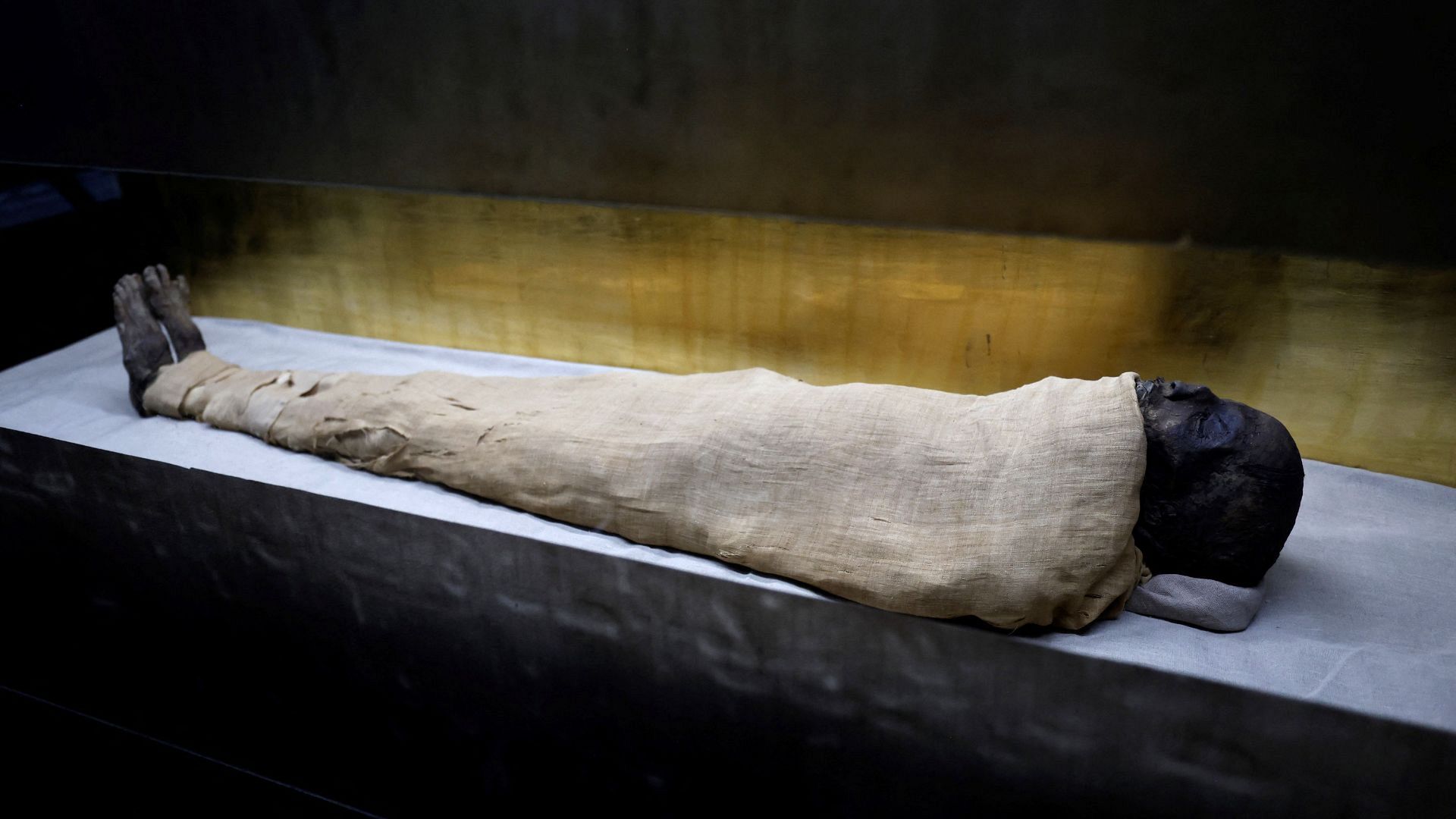 Video. Imhotep Museum in Saqqara reopens to the public after restoration | Euronews