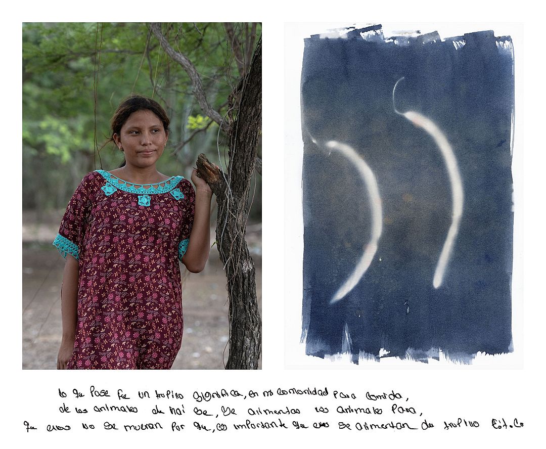 Indigenous children in Colombia were given cameras to capture climate ...