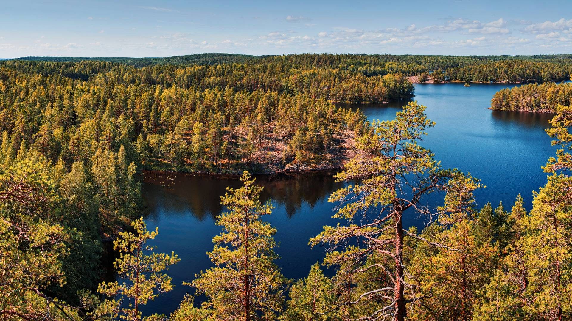 Negative emitters: Denmark leads group of nations aiming to remove more ...