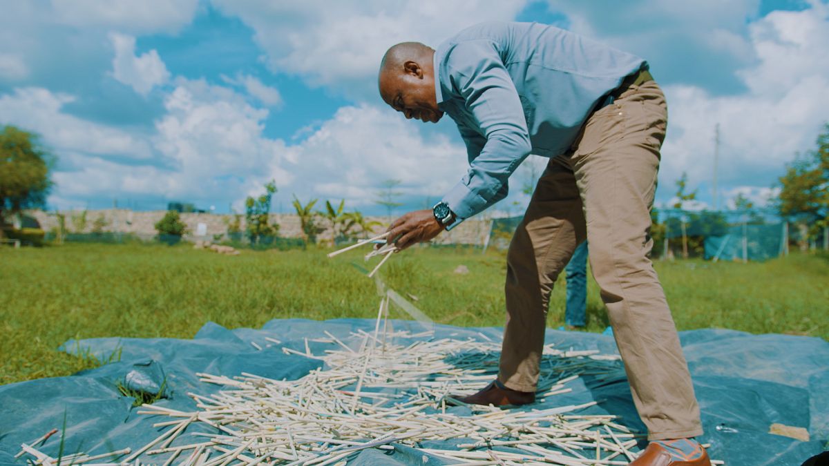 Meet the team crafting pencils out of recycled newspapers in Kenya ...