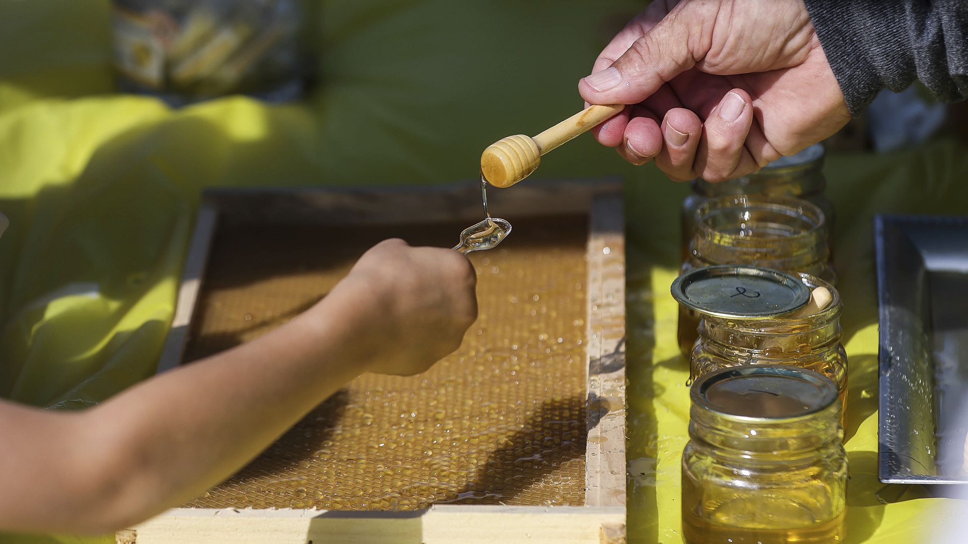 MEPs seek clearer honey labelling to curb spike in bogus imports | Euronews