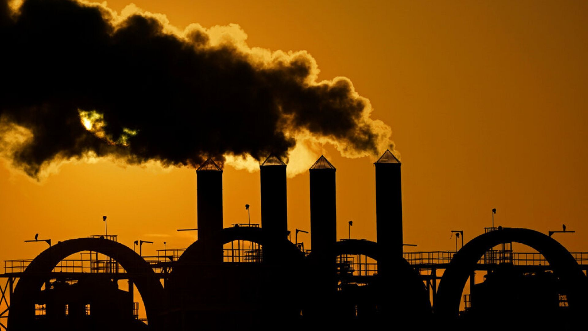 Bank lending favours polluting sectors, ECB study finds | Euronews