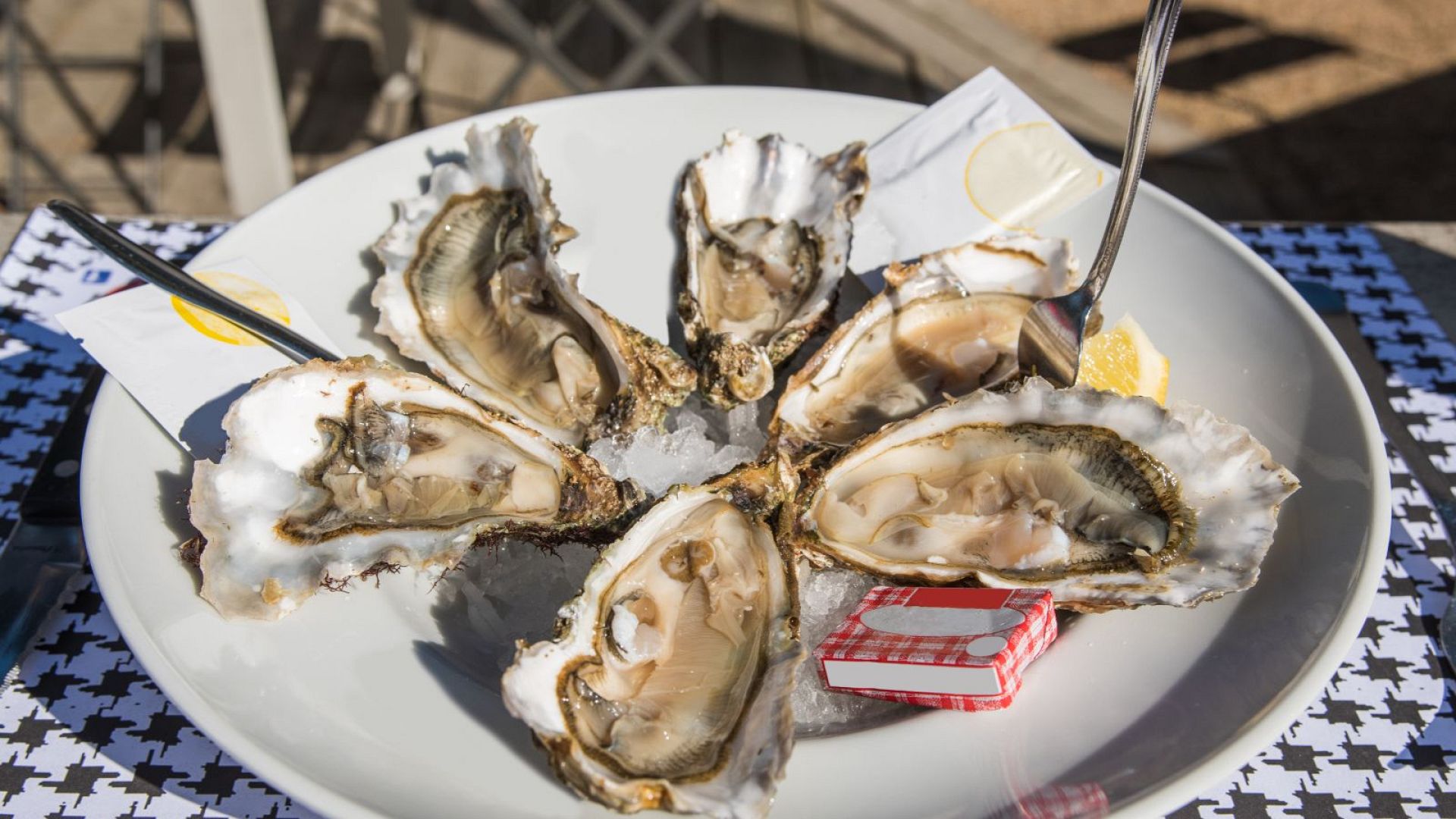 Oysters in France’s Arcachon Bay temporarily banned after norovirus ...