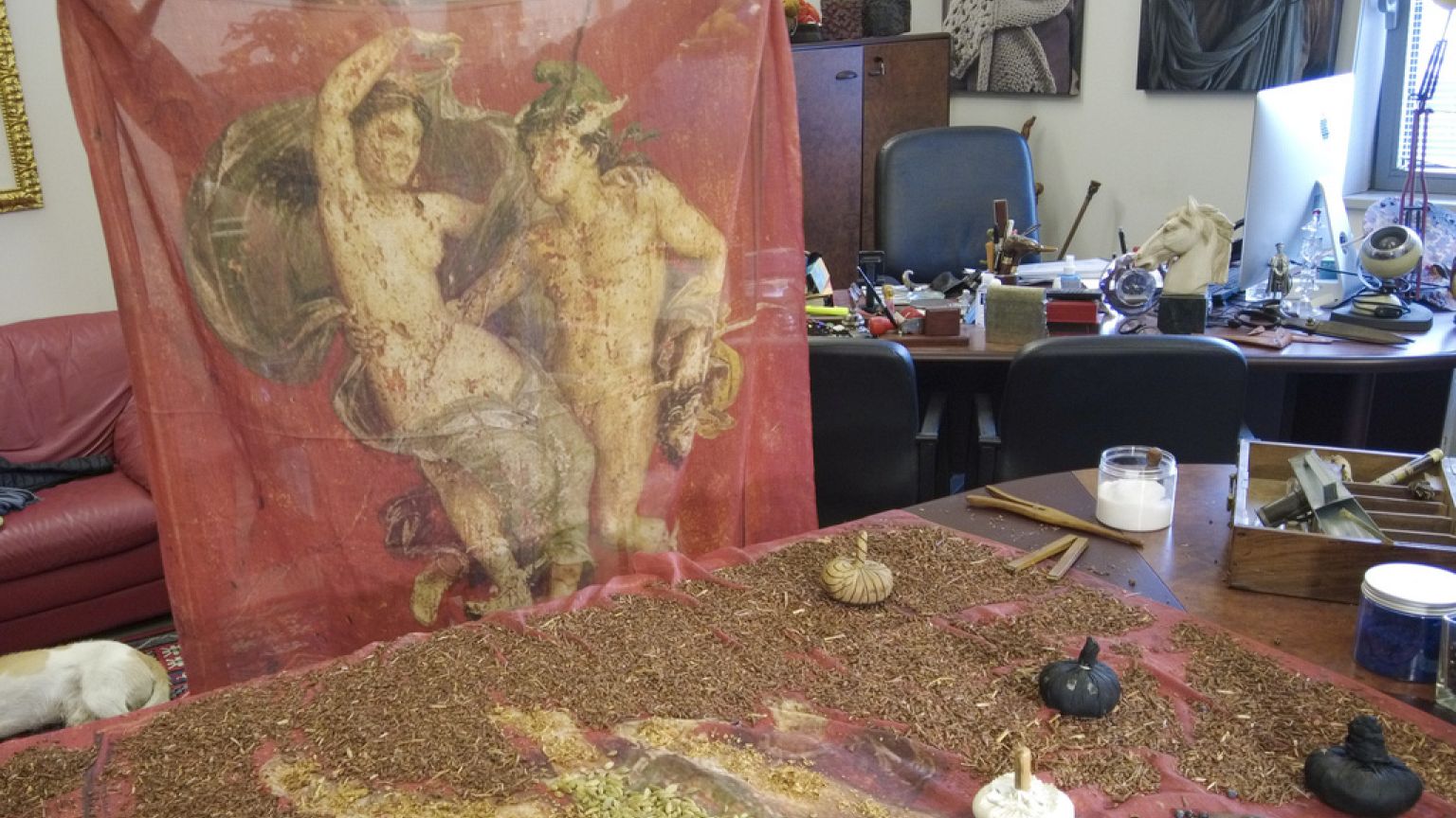 Dyeing to remember: Pompeii's ancient textile techniques resurrected in ...