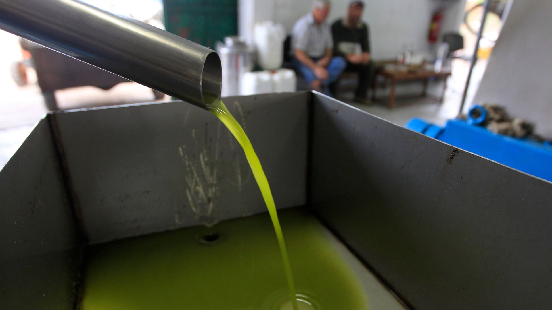 Olive oil scams are proliferating: How do you spot a fake extra-virgin ...