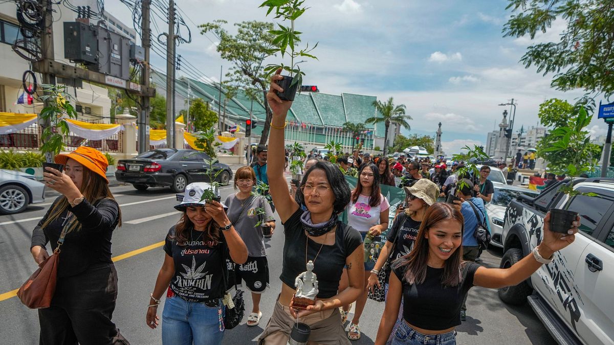 Is weed still legal in Thailand? Here’s what tourists need to know as ...