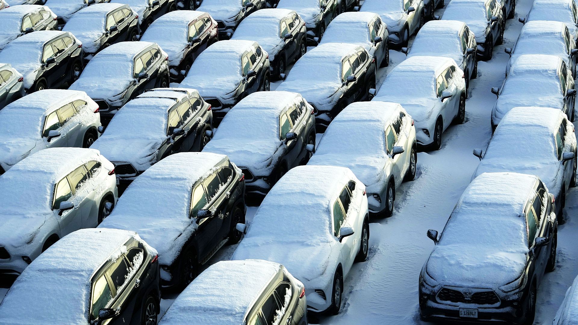 Travel warning: US faces week-long flight disruption from freezing ...