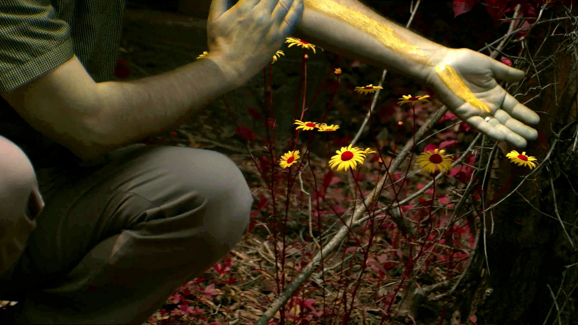 What does the world look like through the eyes of a bee? New tech ...