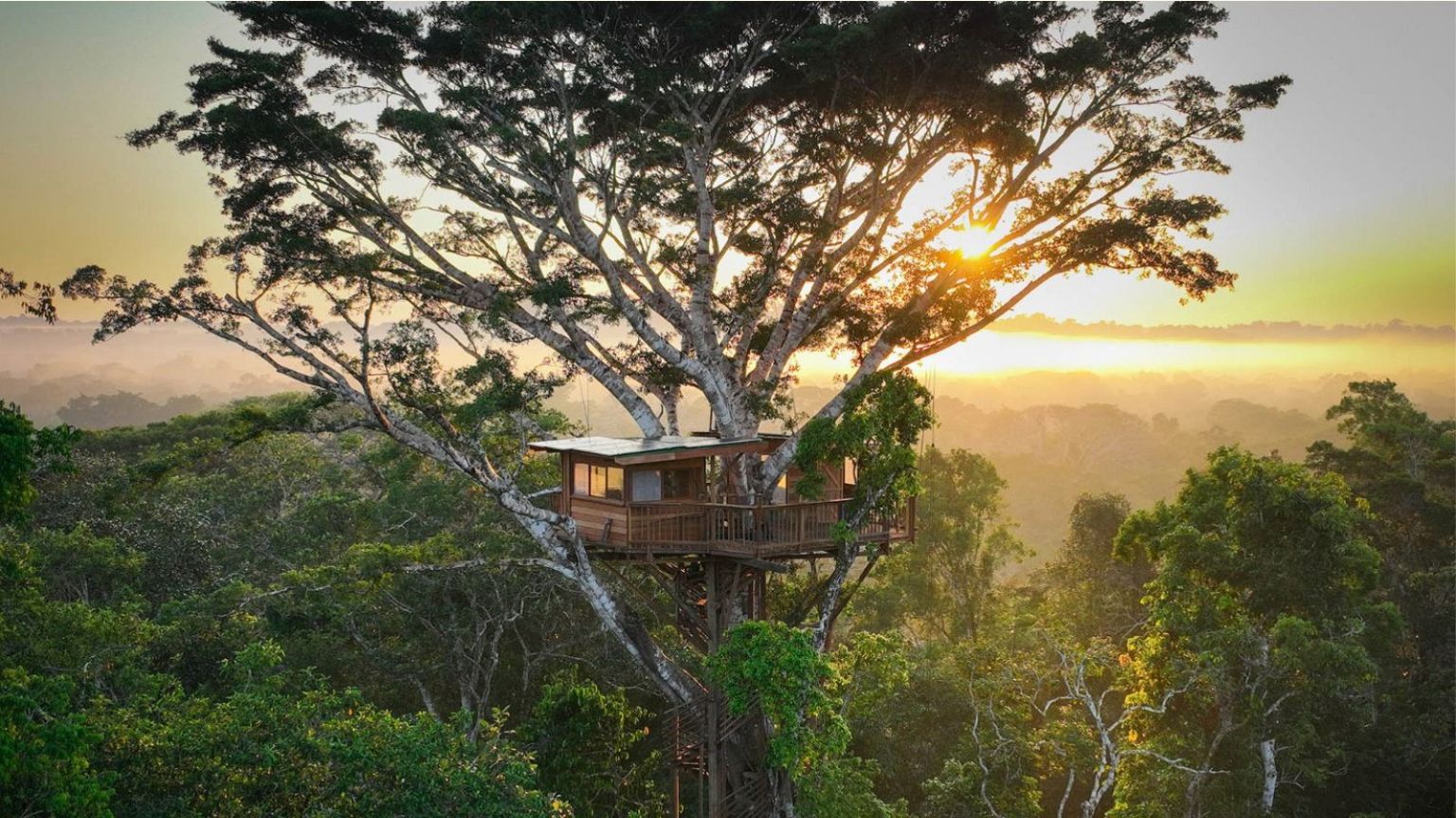 Inside the Amazon’s tallest treehouse, where Peruvians are taught to ...