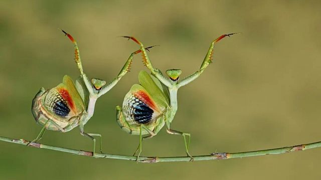 Check out the cute and funny winners of The Nature Photography Contest ...