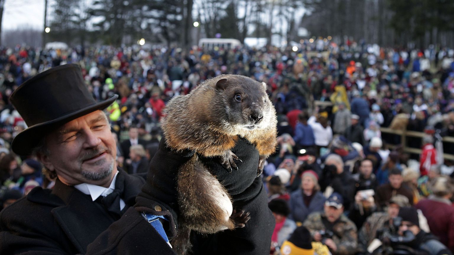 Jour de la marmotte : les origines de cette étrange tradition ...