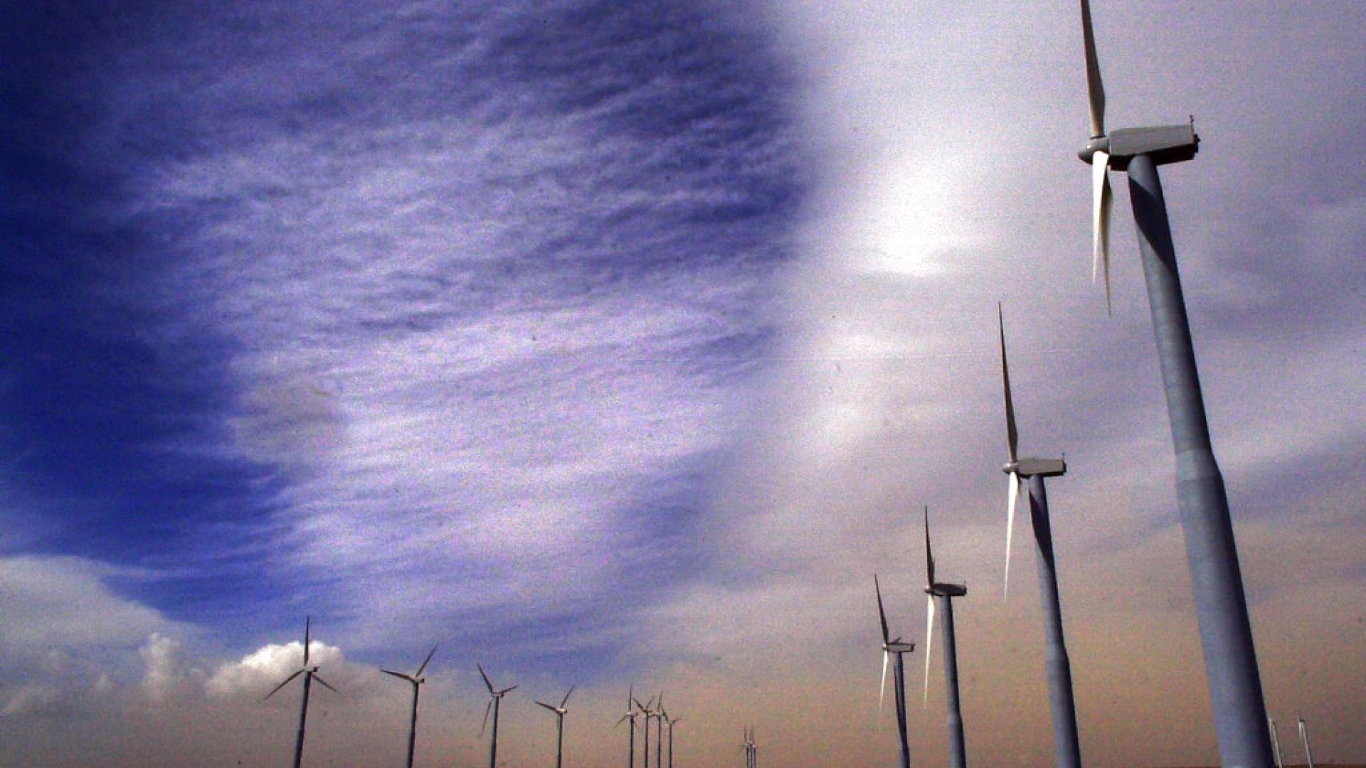 ESMA securities regulator to be handed new green rating powers | Euronews