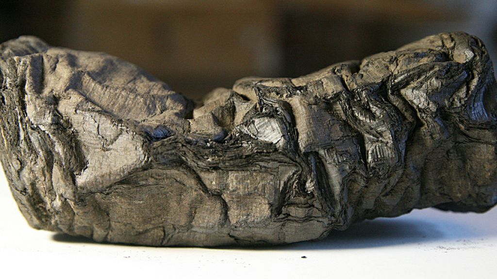 AI helps decode scrolls destroyed during the Vesuvius eruption | Euronews