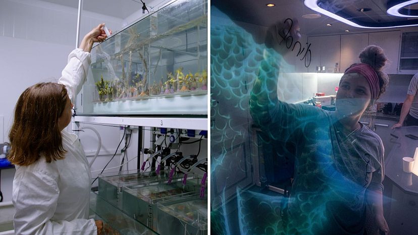 OceanXplorer: On board the billionaire’s research vessel broadcasting ...