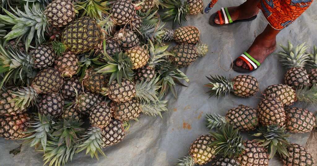 Kenyan company making sustainable textiles out of pineapple waste ...