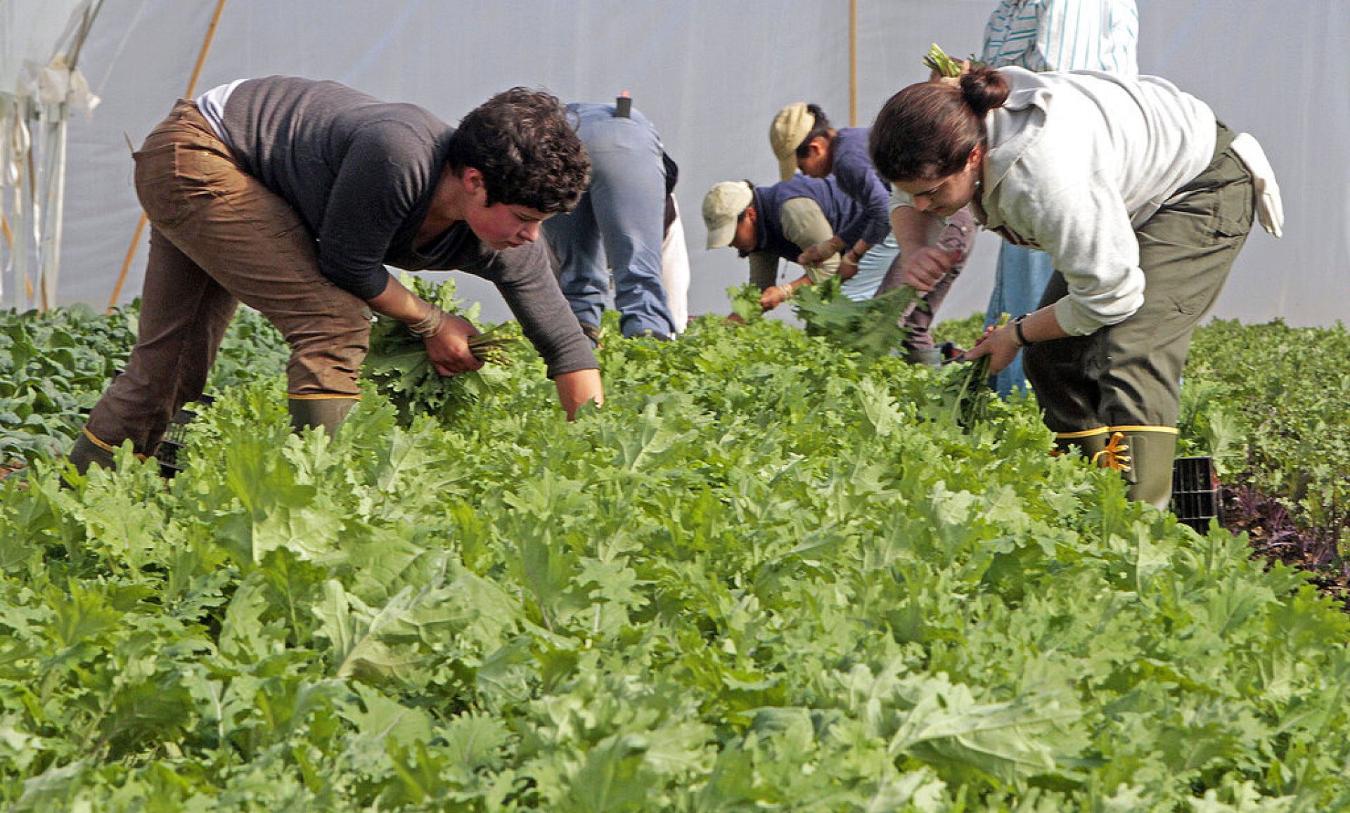 Agroecology is the only way forward | Euronews