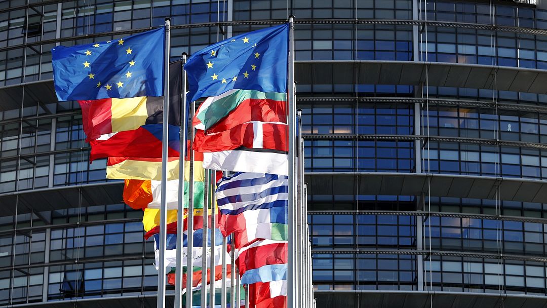 Everything you need to know: Your guide to the 2024 European elections ...