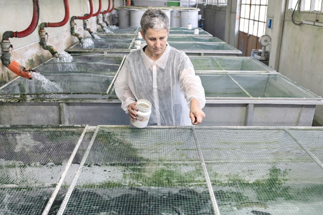 Captive rhinos to sacred pilgrimages: The best pictures from Sony World ...