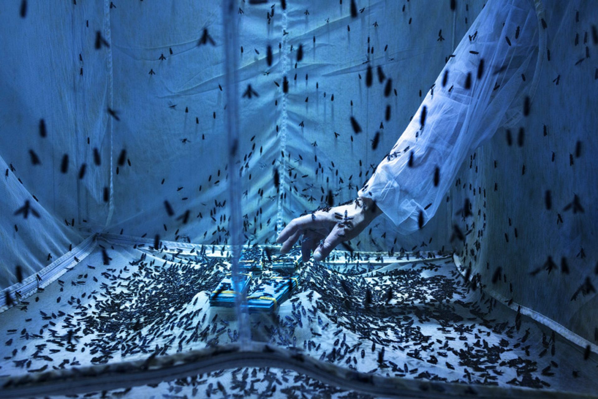 Die besten Bilder der Sony World Photography Awards 2024 | Euronews