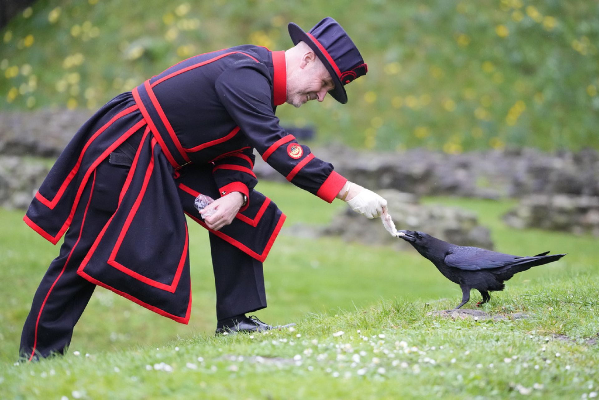 Meet the Tower of London's new ravenmaster: Protecting the kingdom from ...