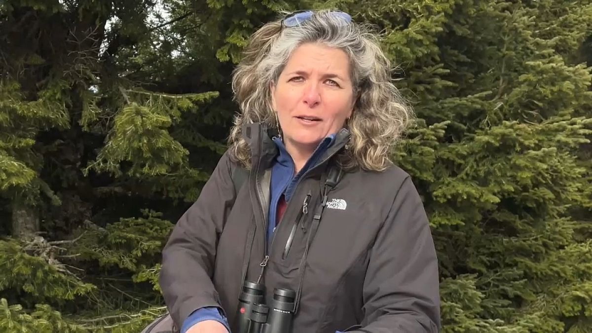 Wird Griechenland dank Windenergie zur "grünen Steckdose" Europas? | Euronews