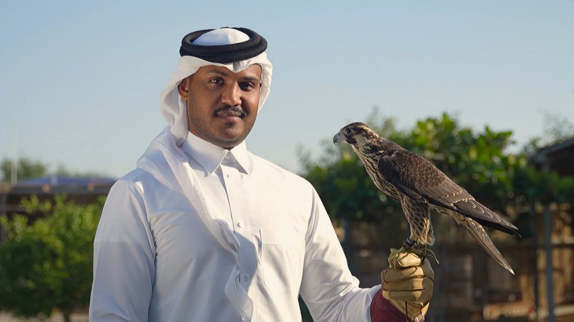 Watch: Qatar's medicine man healing his valuable patients | Euronews