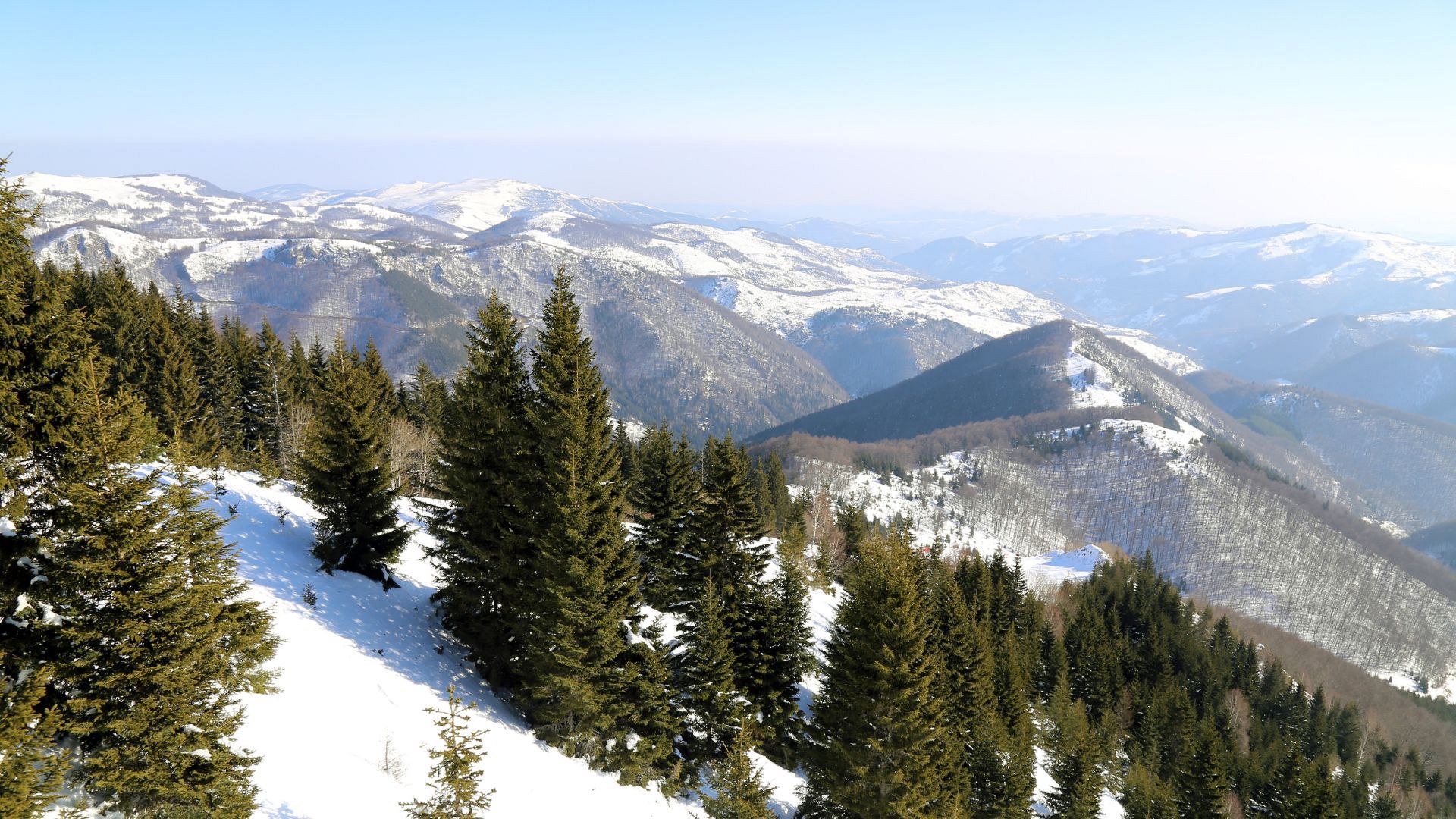 Serbia’s national parks are a nature lover’s dream: Where to go for ...