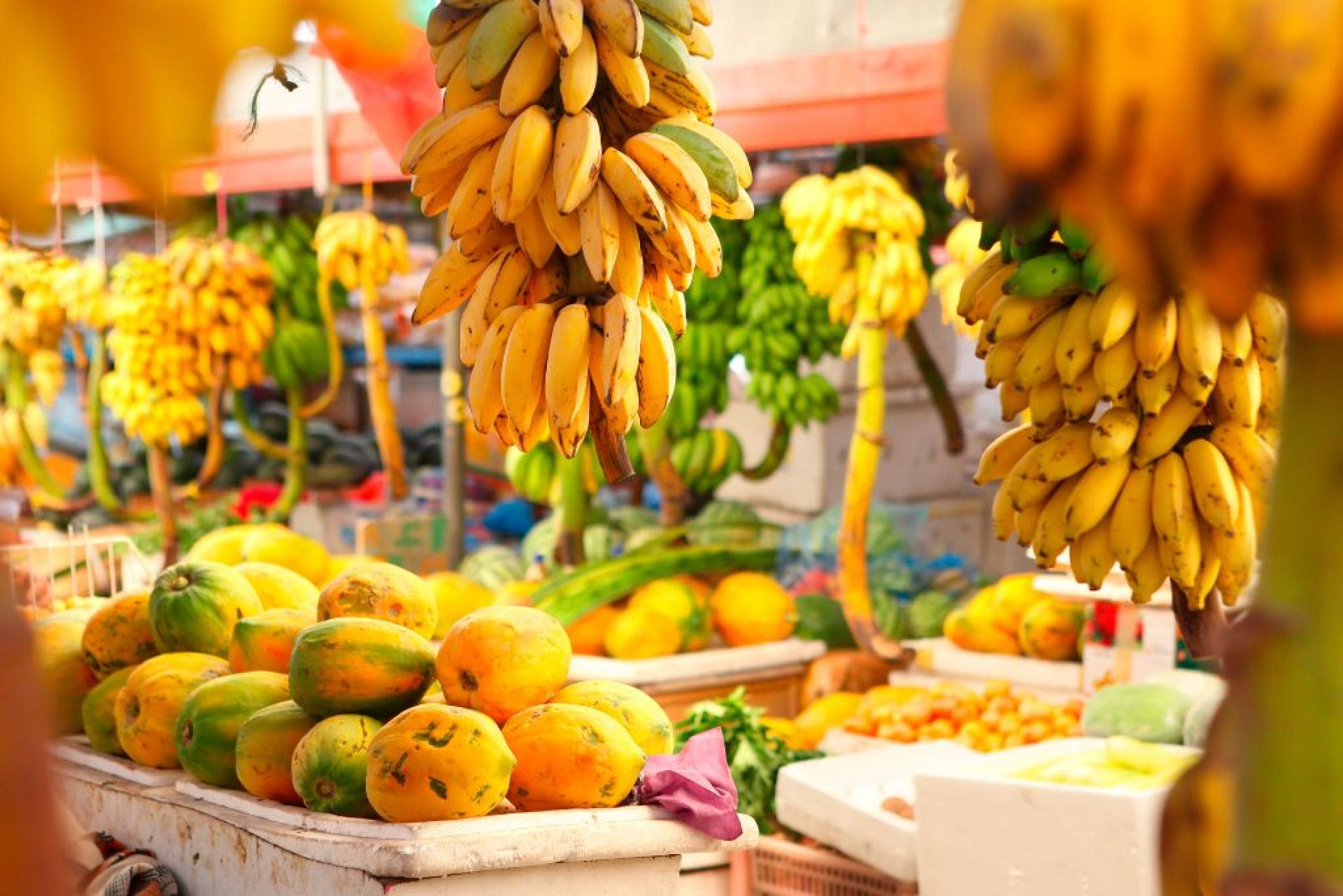 Get a taste of local life in the Maldives with these community-led ...