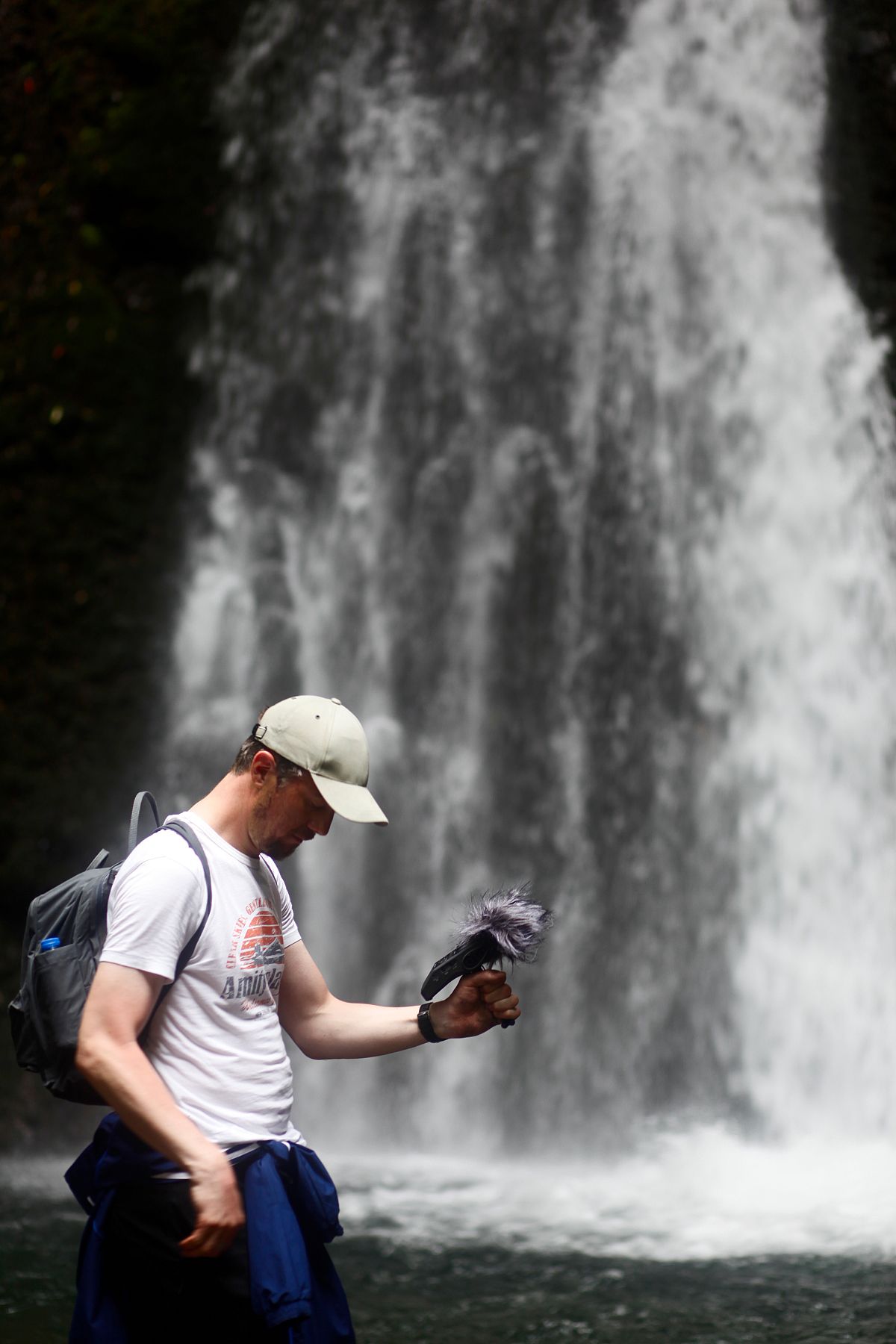 Please press record: new project aims to capture sounds of migration ...
