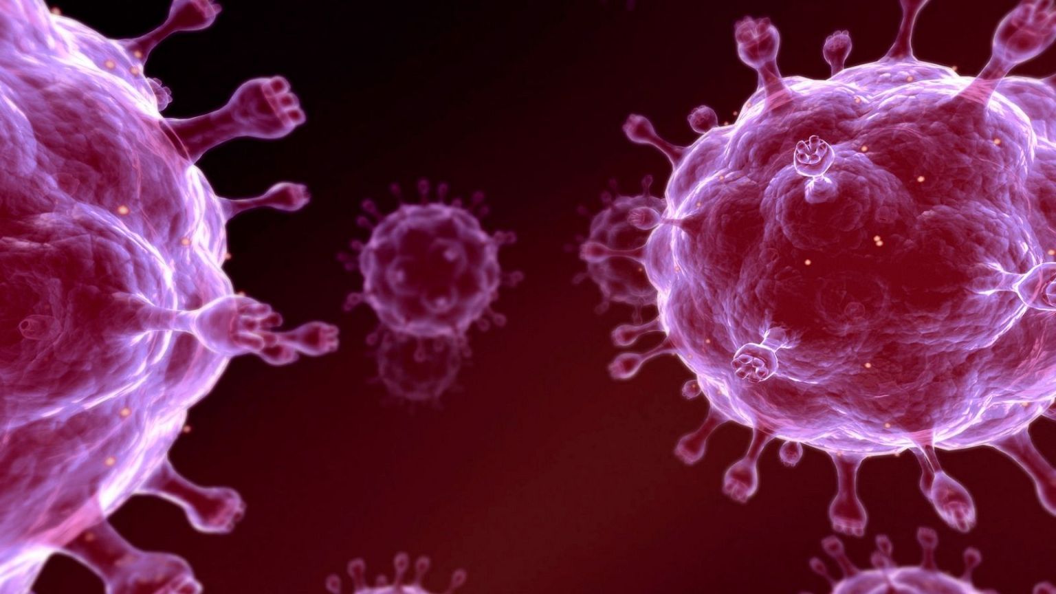 New drug candidates could 'unmask' HIV-infected cells that evade the ...