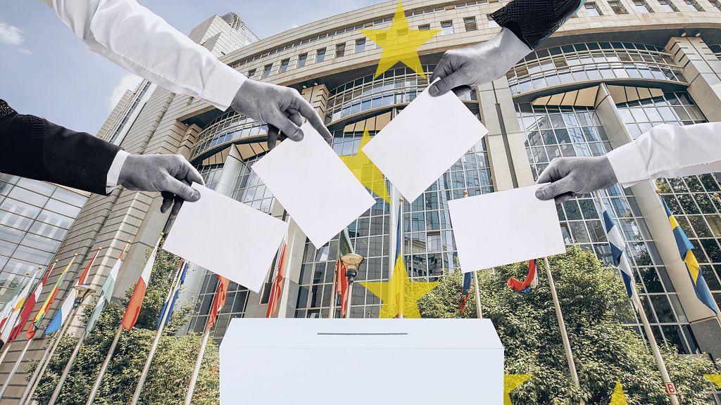 What are the European elections and how do they work? | Euronews