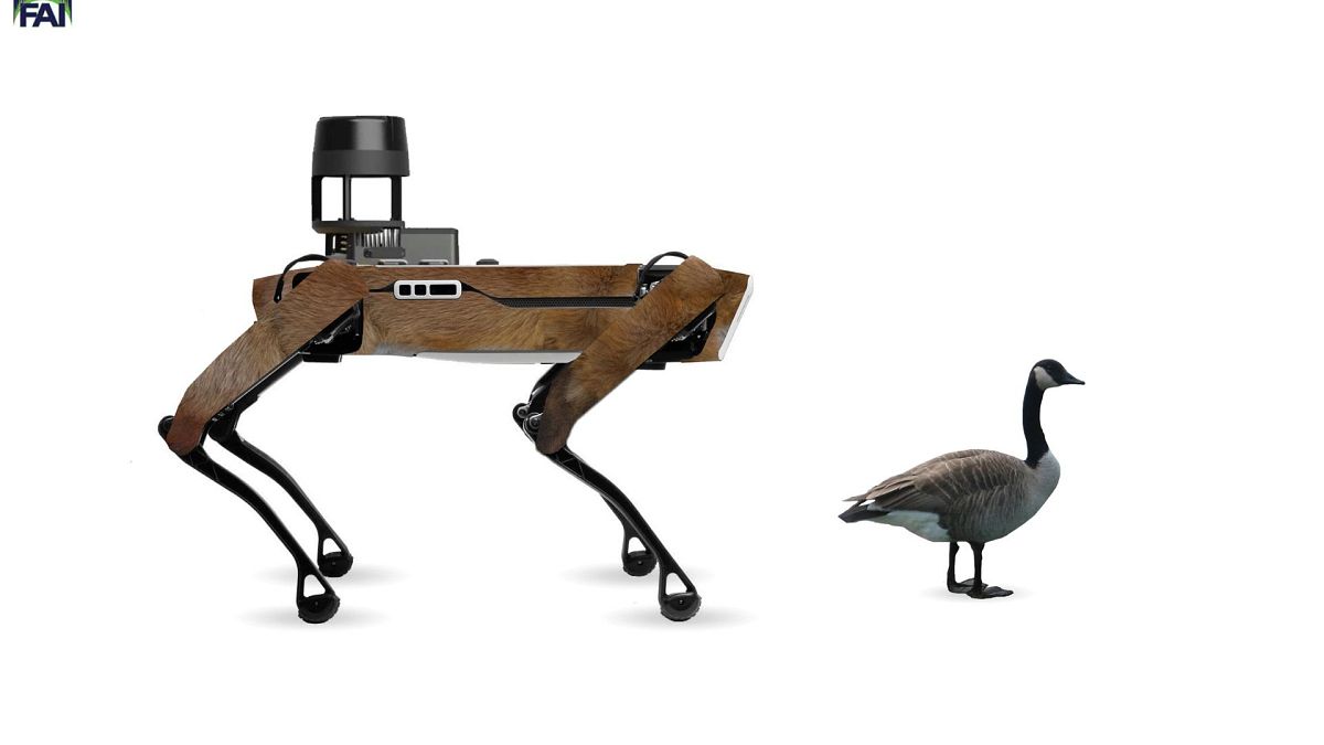 Airport employs robot disguised as a predator to scare wildlife away ...