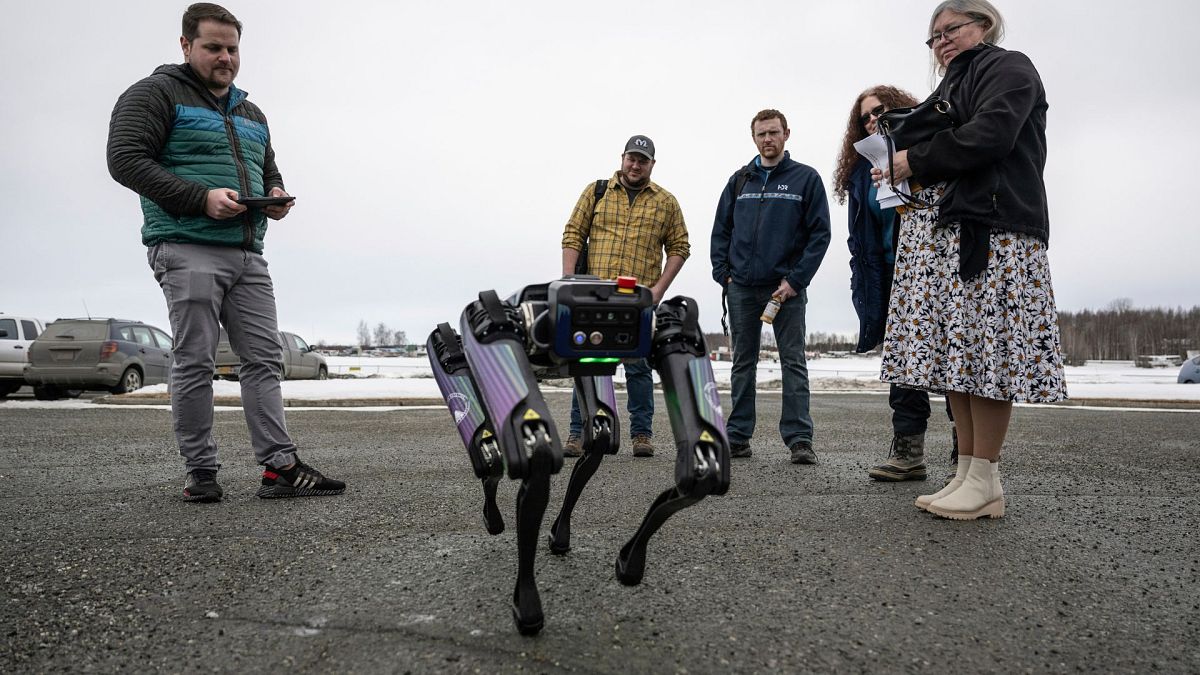 Airport employs robot disguised as a predator to scare wildlife away ...