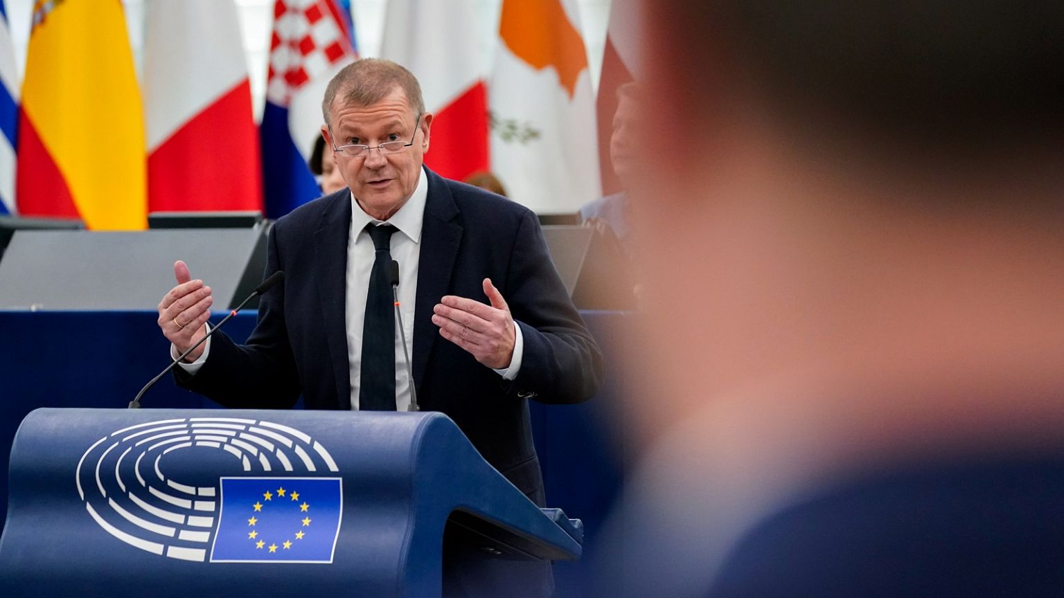 Von der Leyen's SME Envoy appointment disputed | Euronews