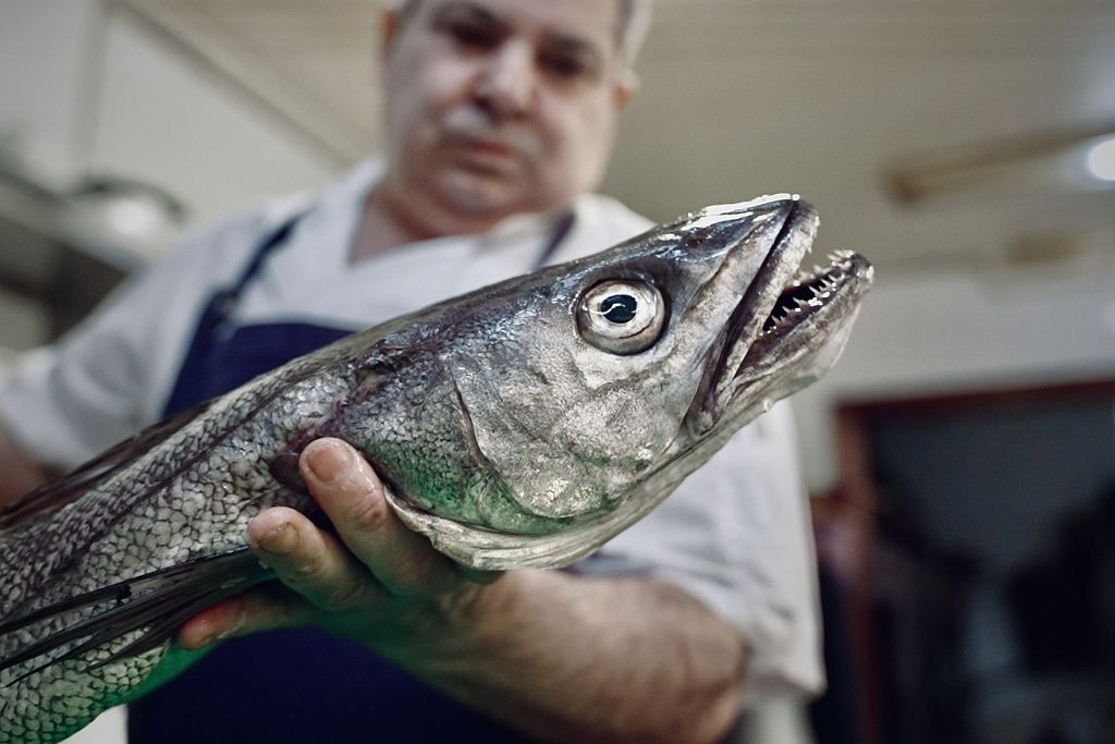 Ocean - Latest episodes, latest news and updates about | Euronews