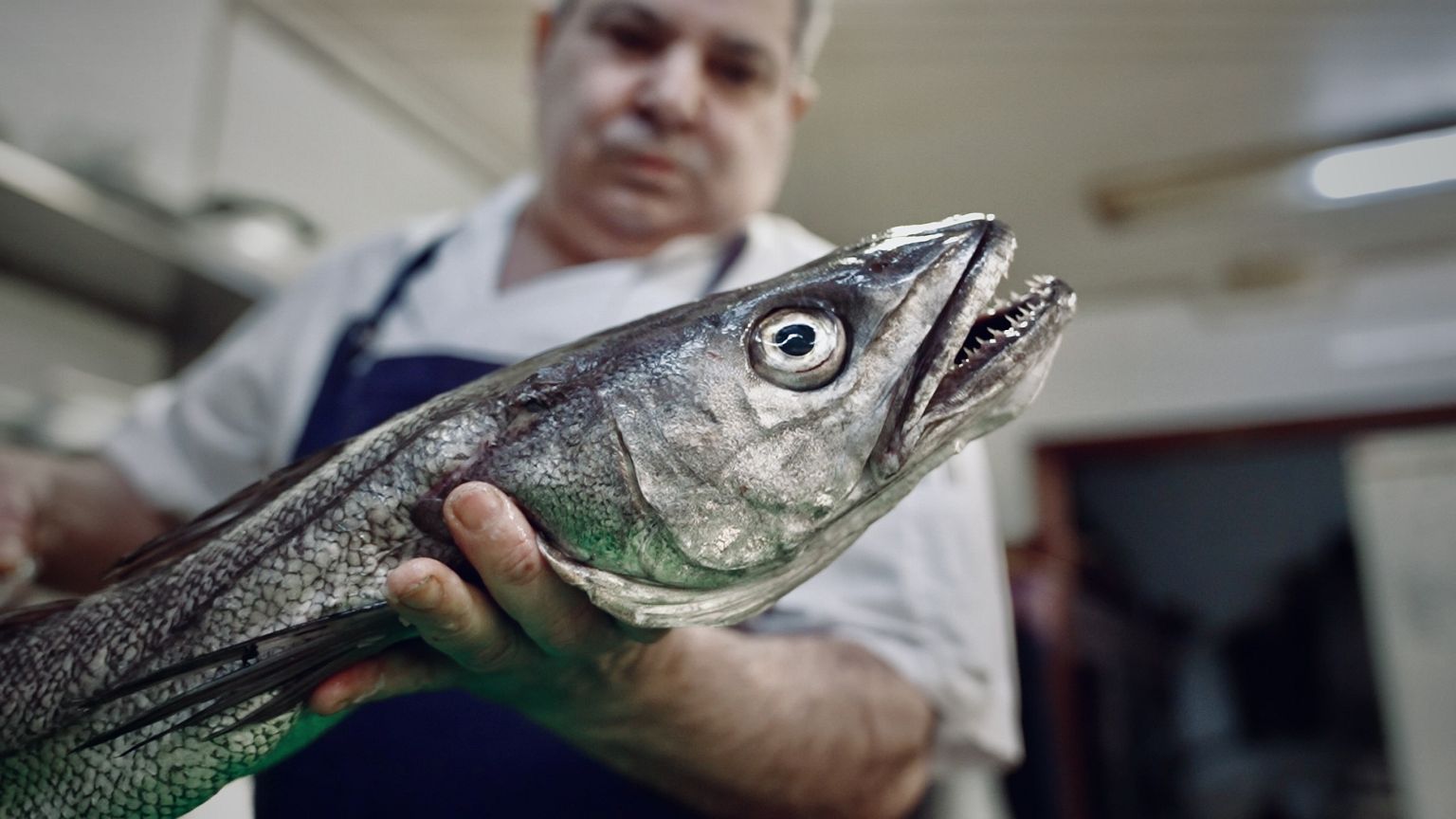 Is hake's remarkable recovery in the Atlantic a sign of hope for our ...