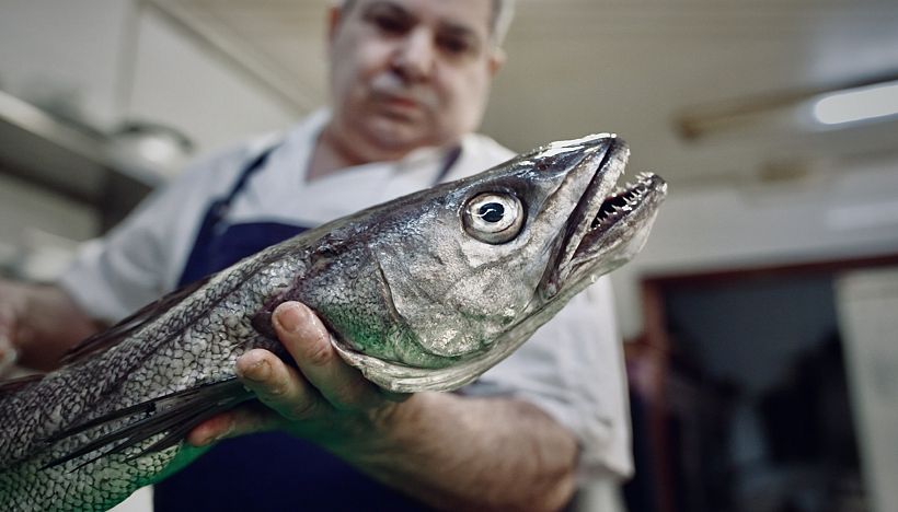 Is hake's remarkable recovery in the Atlantic a sign of hope for our ...