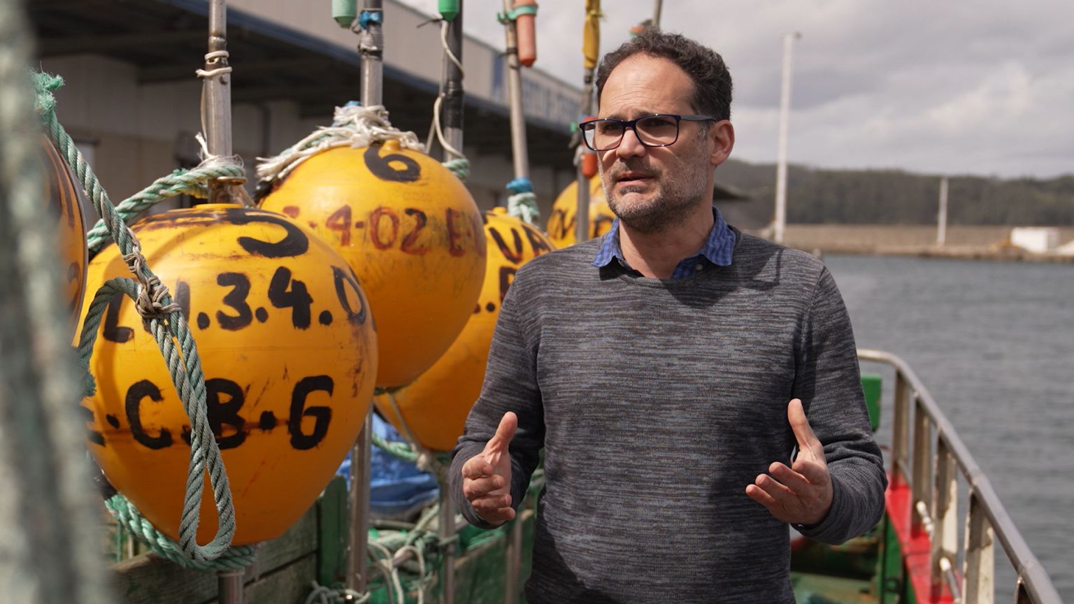 Interview: How Europe’s swift action saved commercial hake stocks ...