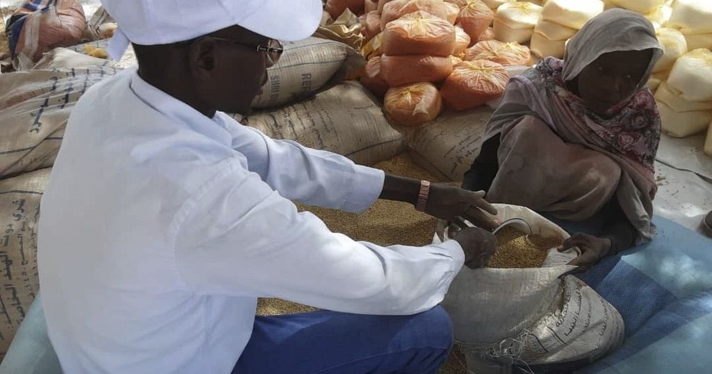 Soudan : des milliers de déplacés au bord de la famine | Africanews