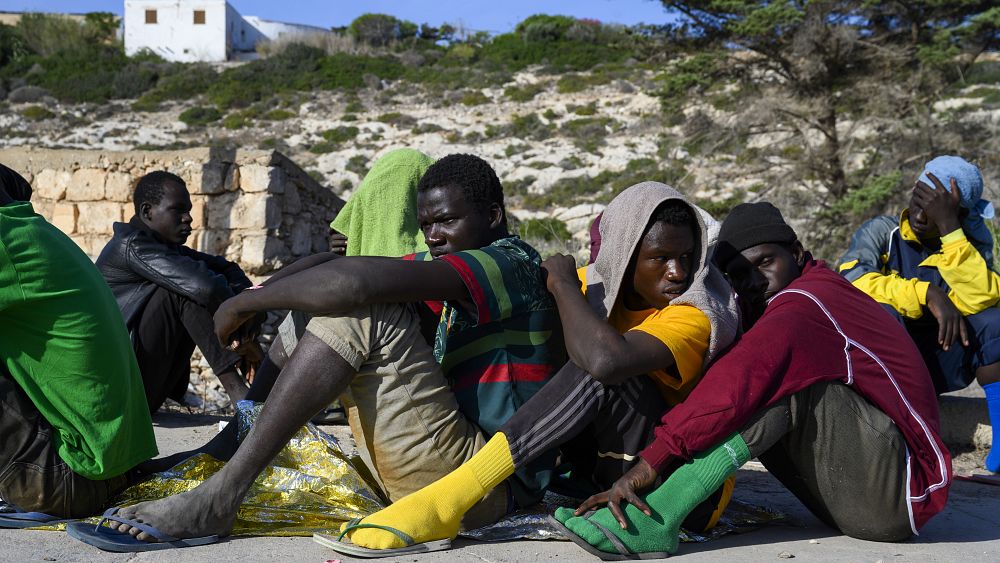 Toute l'information internationale en direct | Euronews